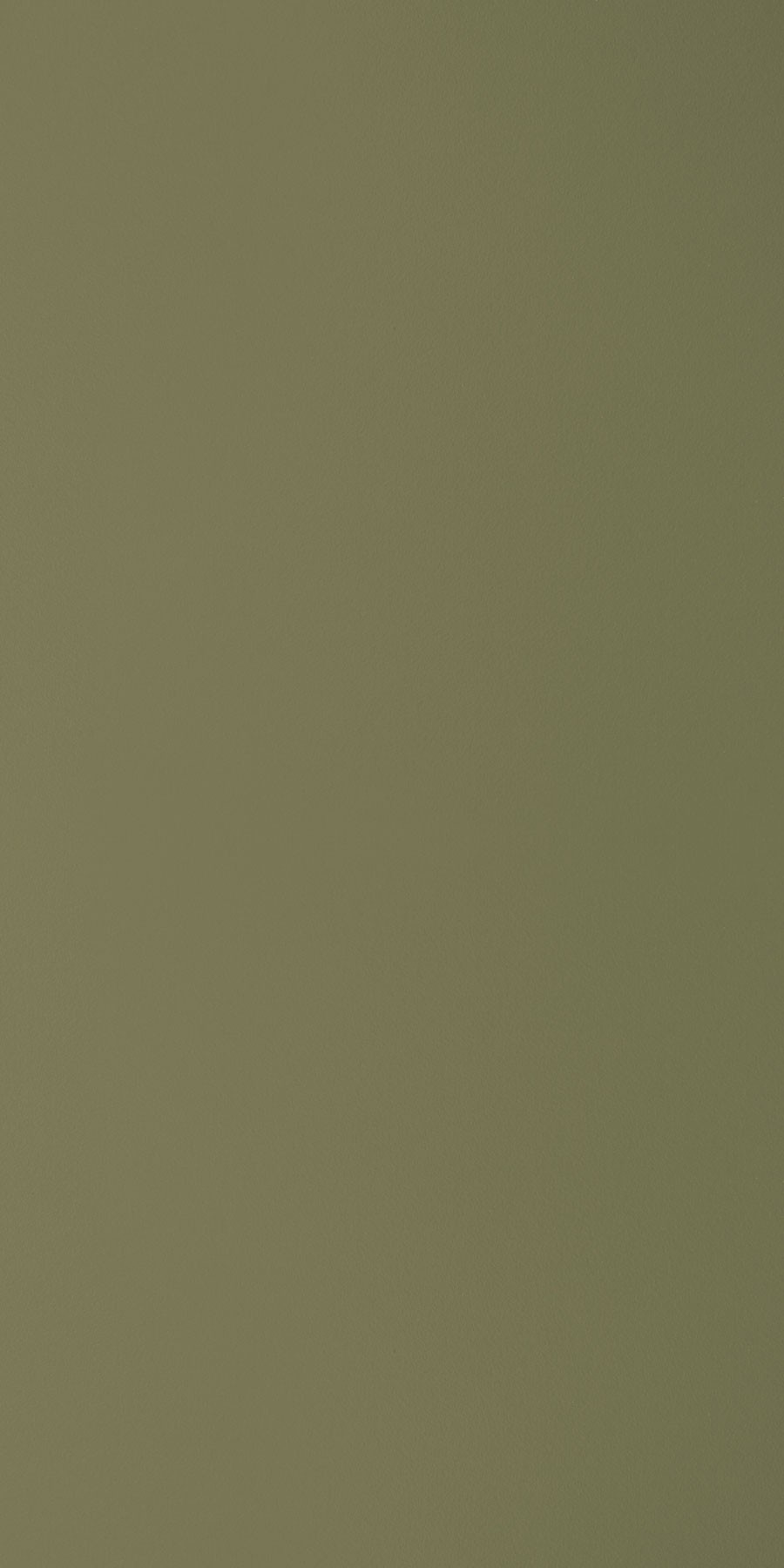 Pine Nut Laminates - Greenlam