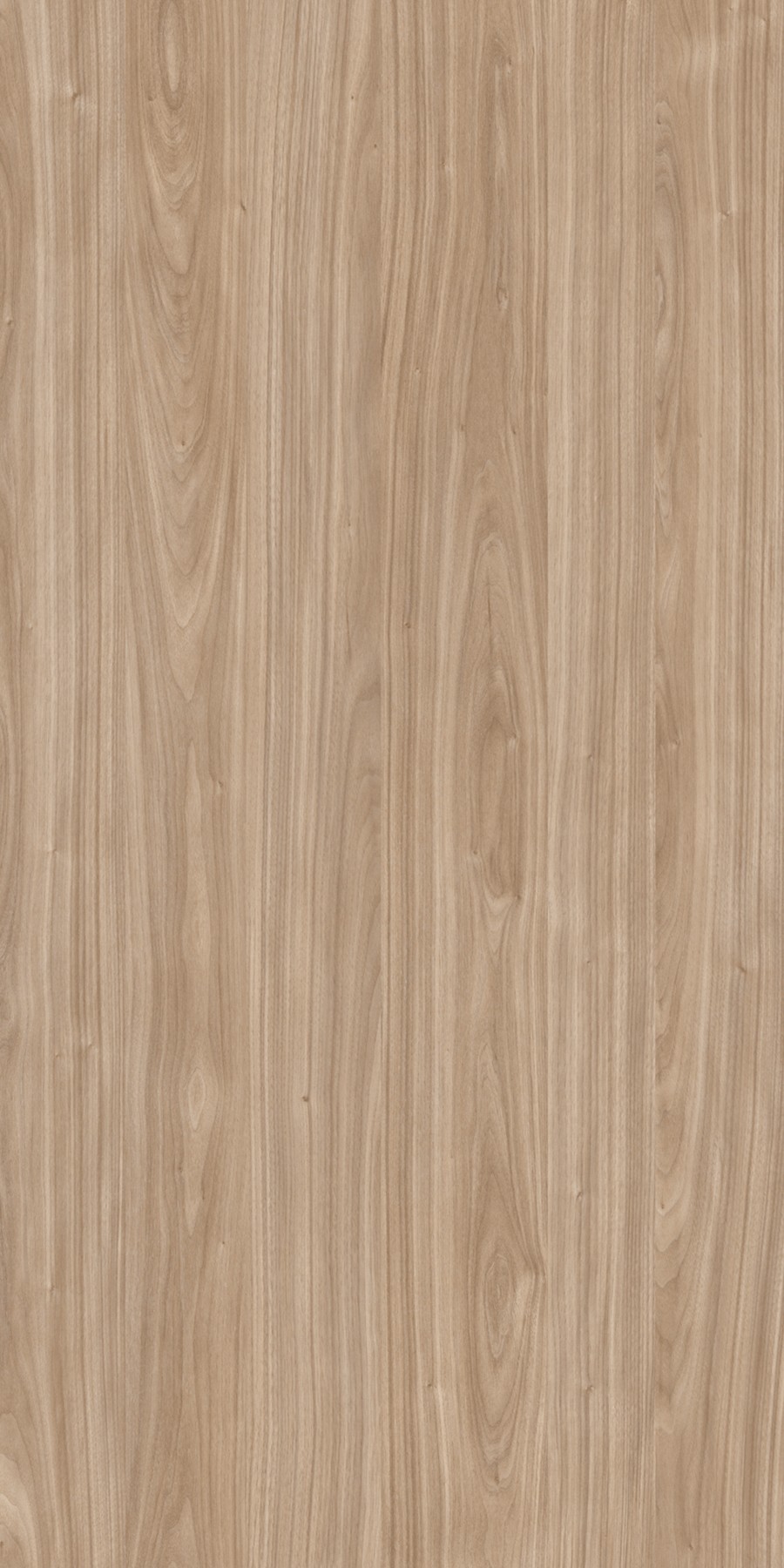 Nordic Walnut