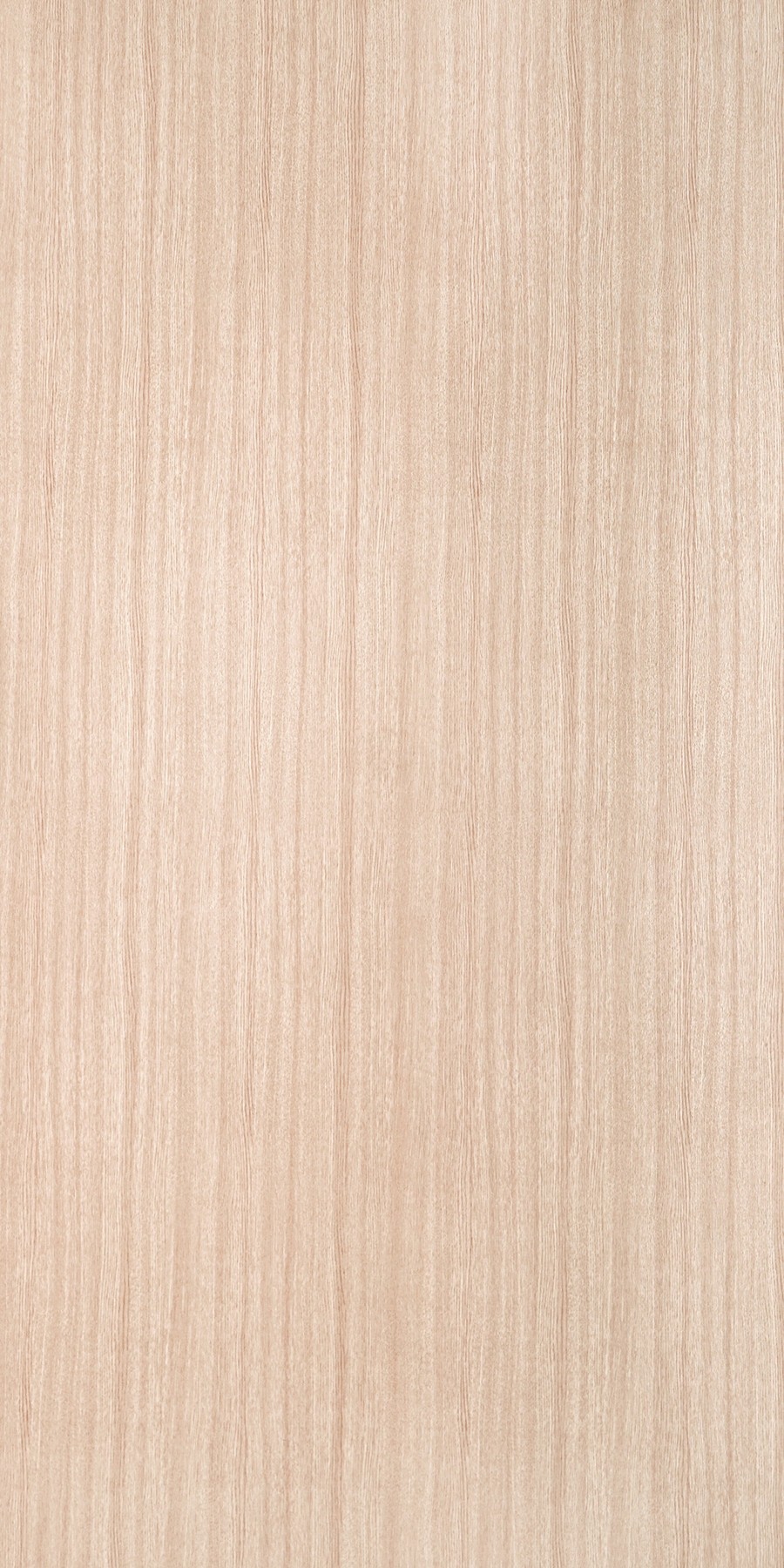 Oak Laminates - Greenlam