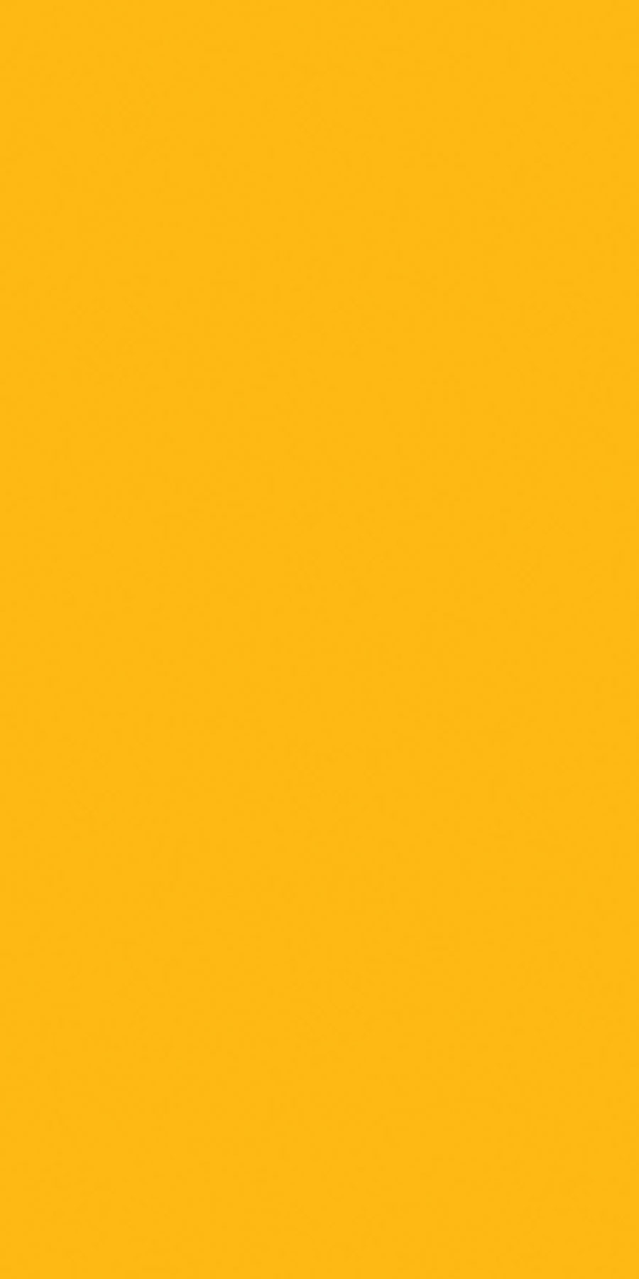 Divine Yellow Laminates - Greenlam