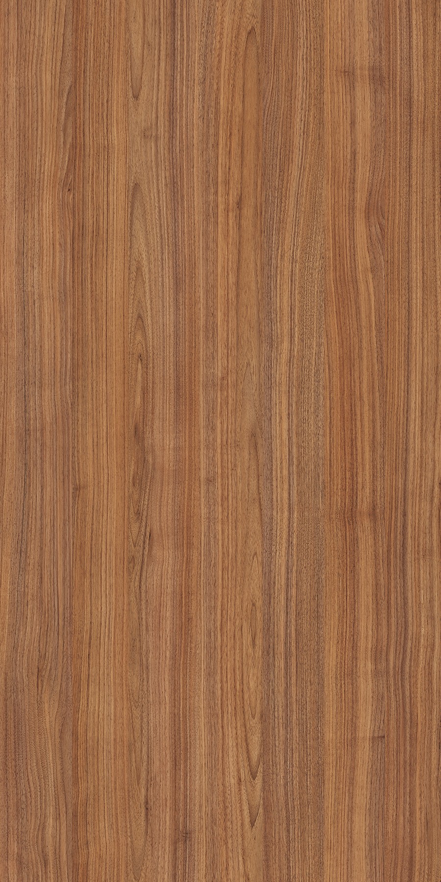 Saturno Walnut Laminates - Greenlam