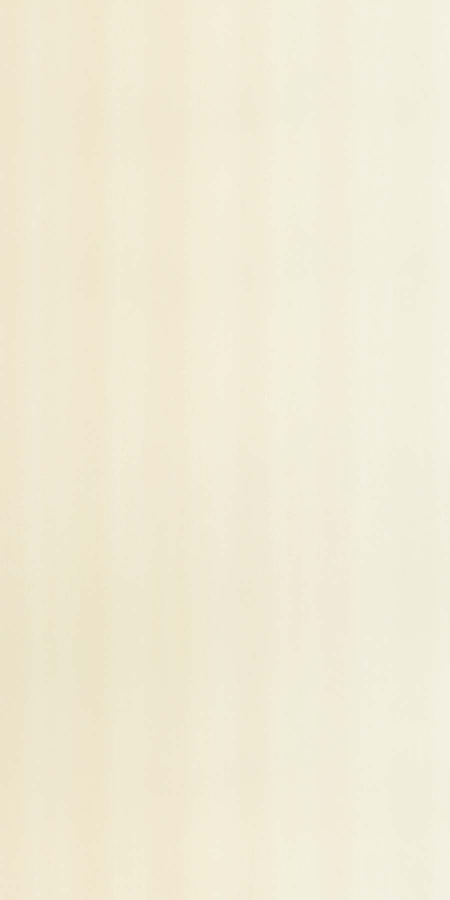 Silver Maple Laminates - Greenlam